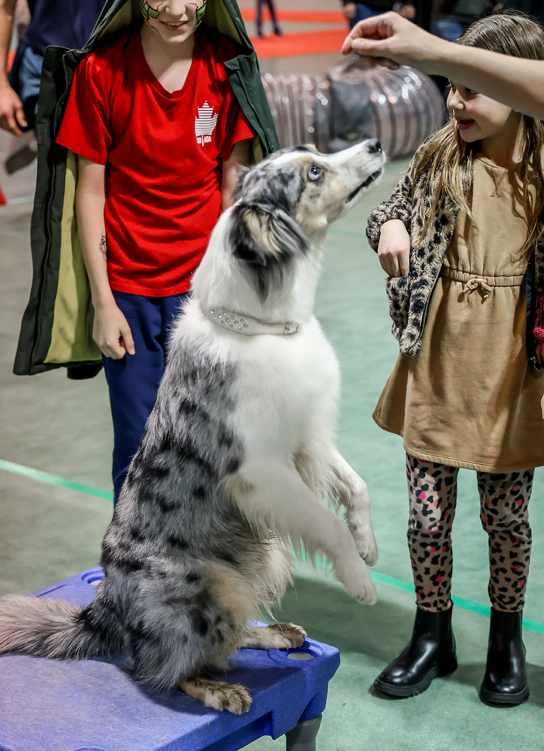 The Countdown is On! 2025 RV Adventure Sale & Show Full Schedule is ...